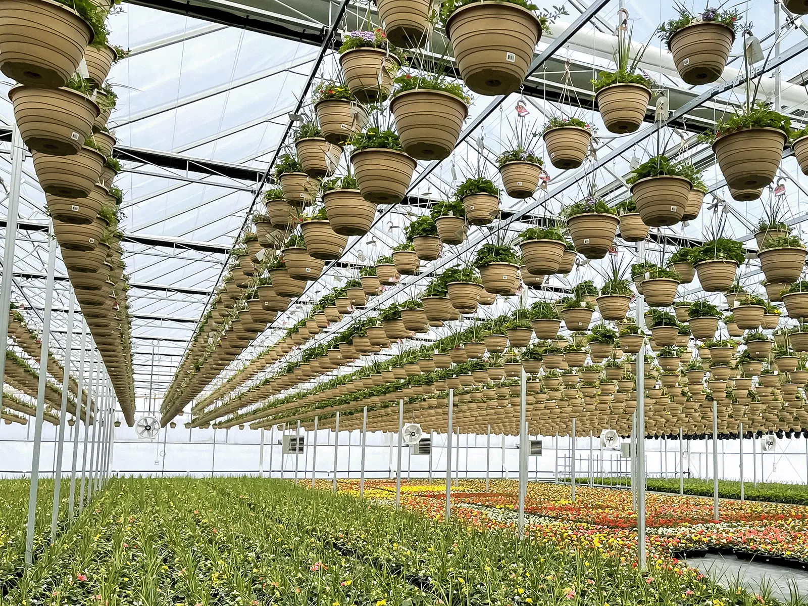 Hanging Basket systems - Metazet