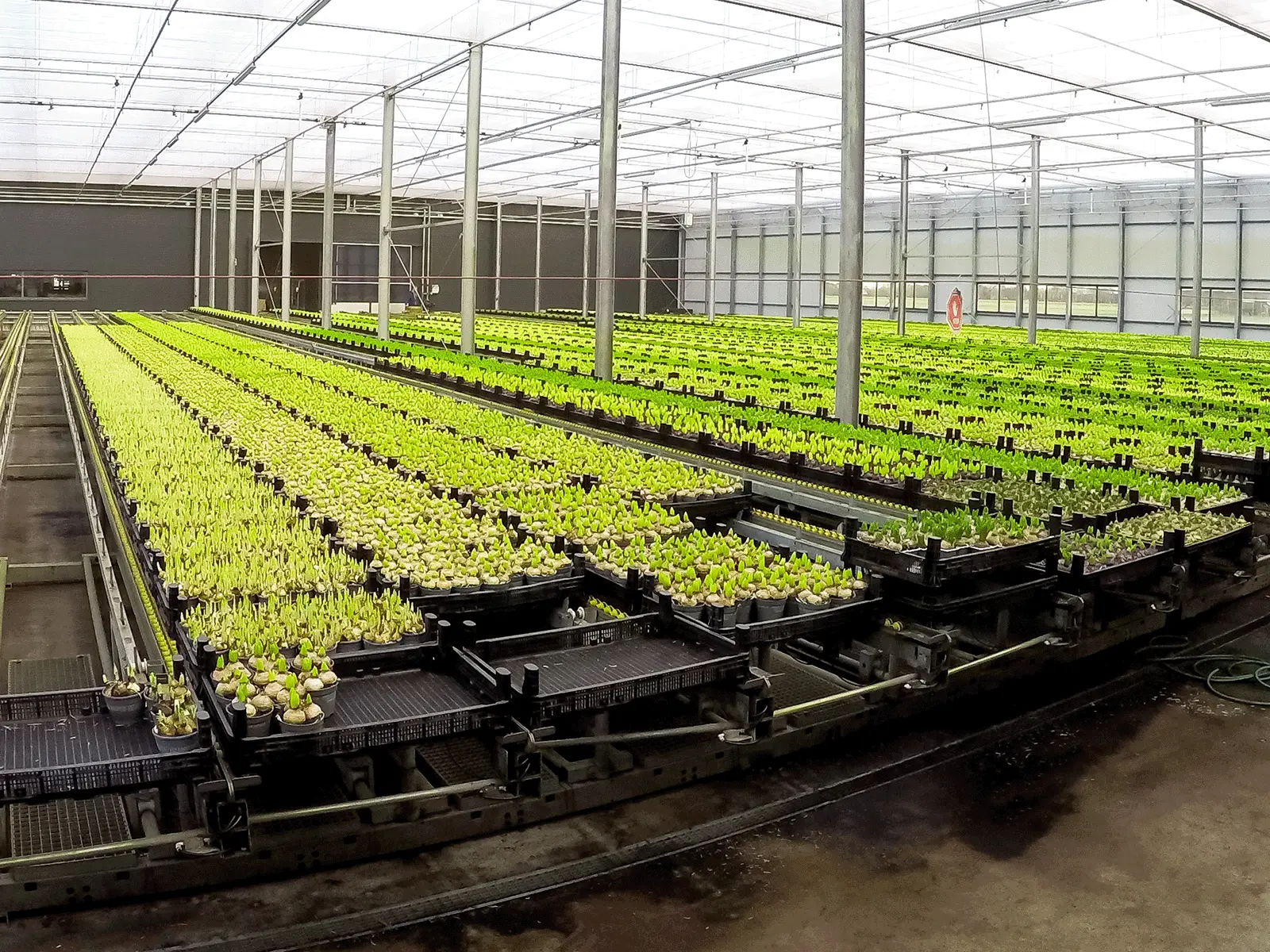 Klepelbaan­systeem - Metazet